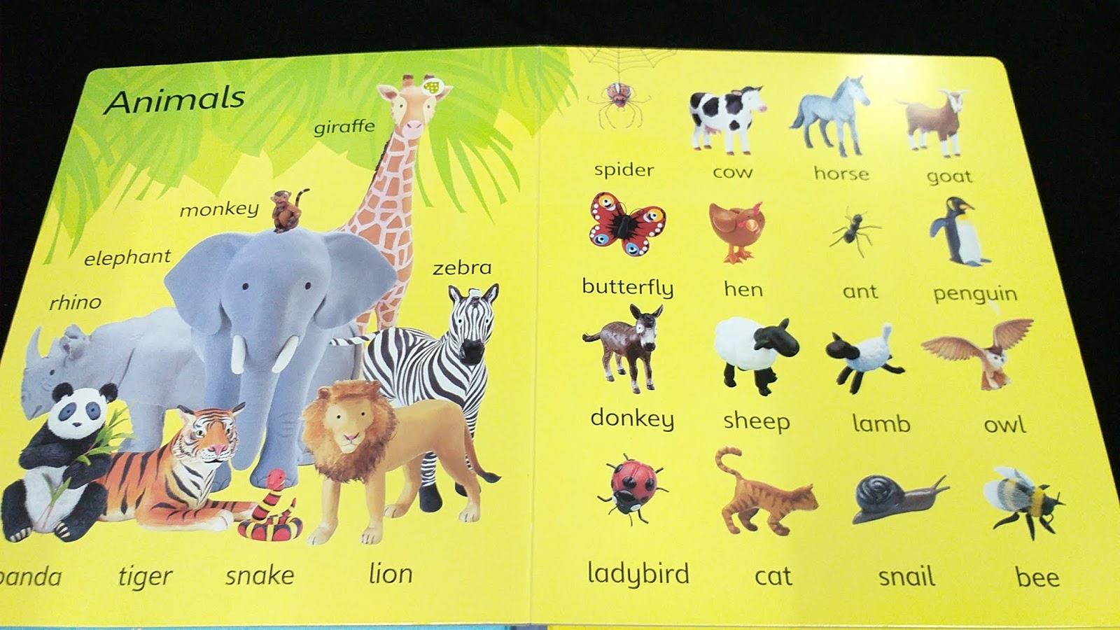 Kid Books Blog: 461.First Picture Word Book