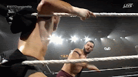 Global Wrestling Gifs: Finn Balor (NXT)