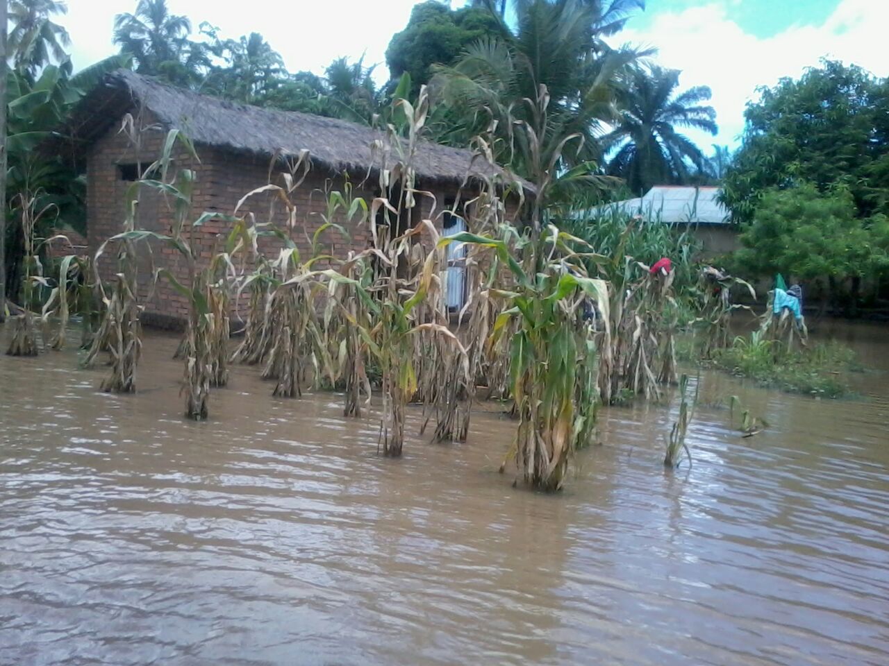 TAZAMA PICHA ZA MAFURIKO IFAKARA,MOROGORO - Madibadc