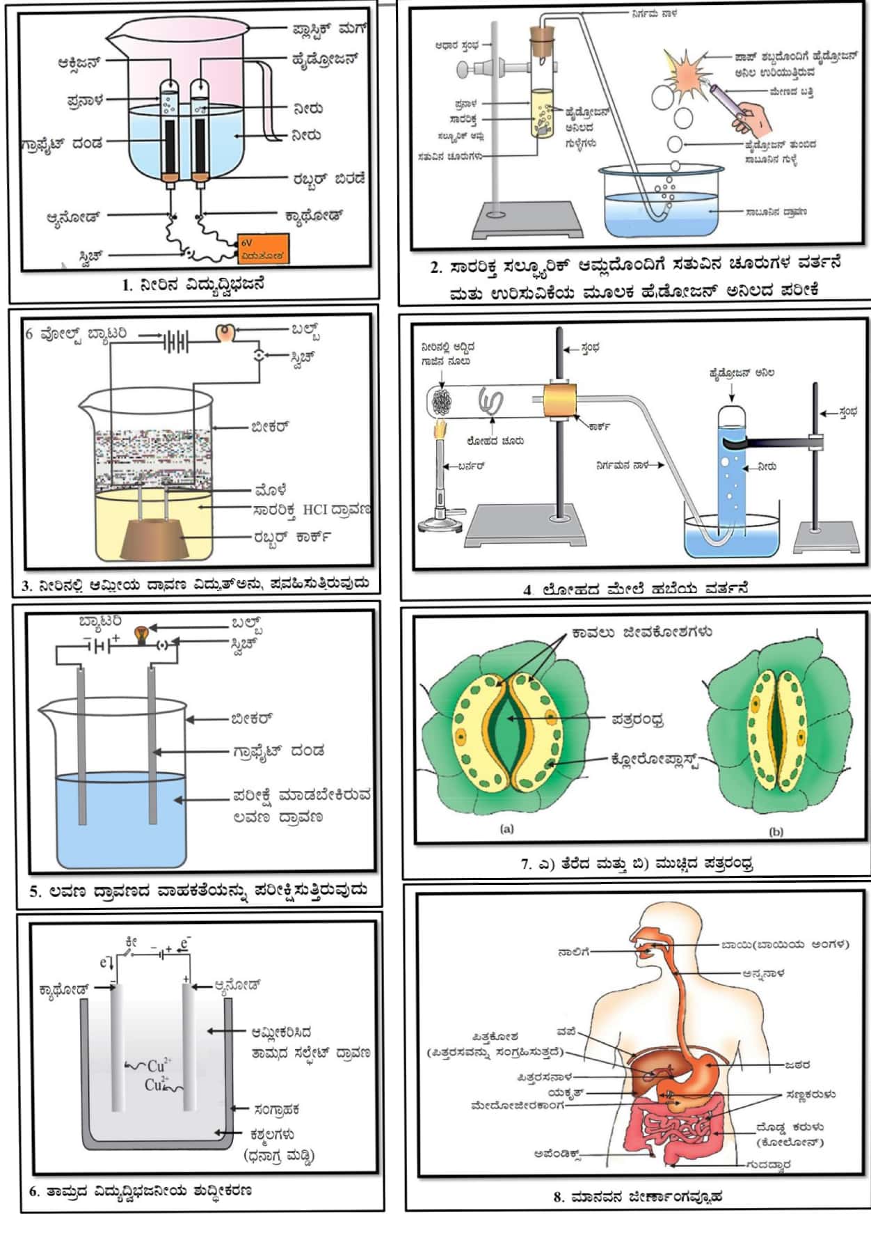 Government highschool Hosahalli(L) koppal: Science diagrams