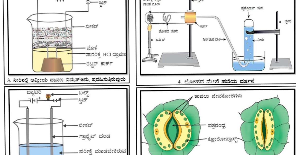 Government highschool Hosahalli(L) koppal: Science diagrams