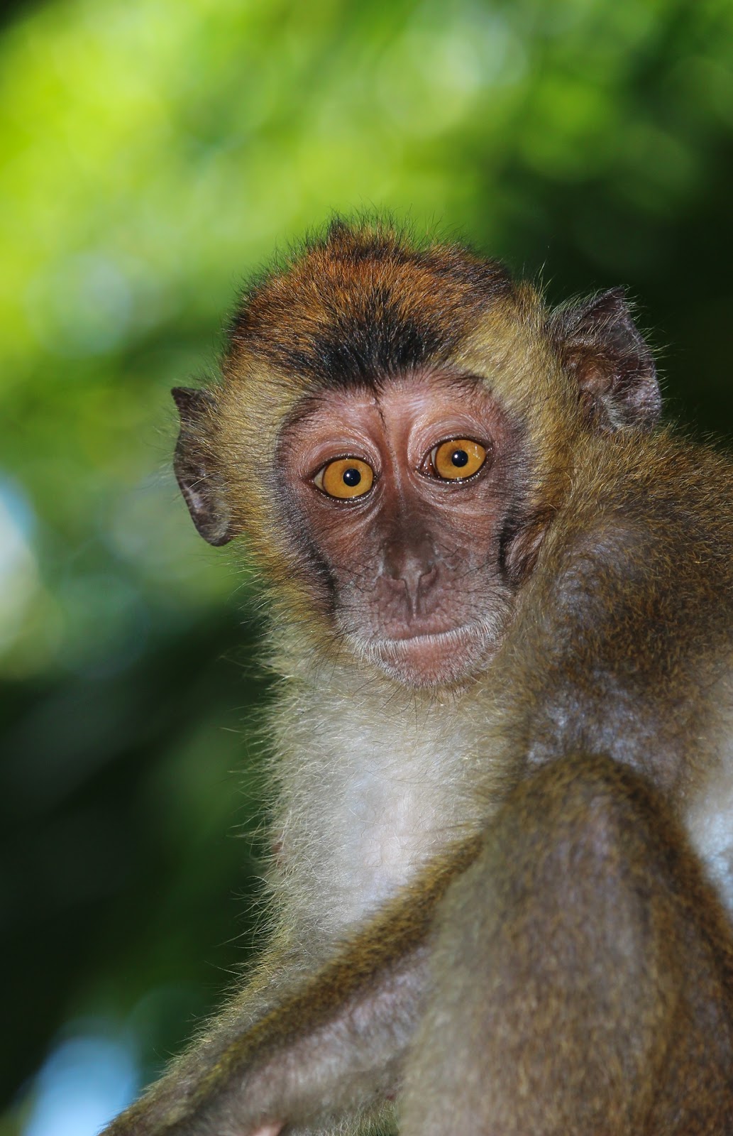 Palawan Wild Frontier