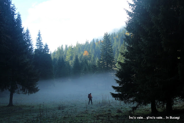Poveştile mele: Bucegi: Valea Cerbului, Valea Caldarile, Valea Priponului