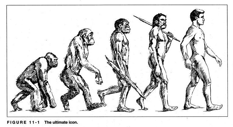Human Evolution Theory Human Evolution: Theory And Progress
