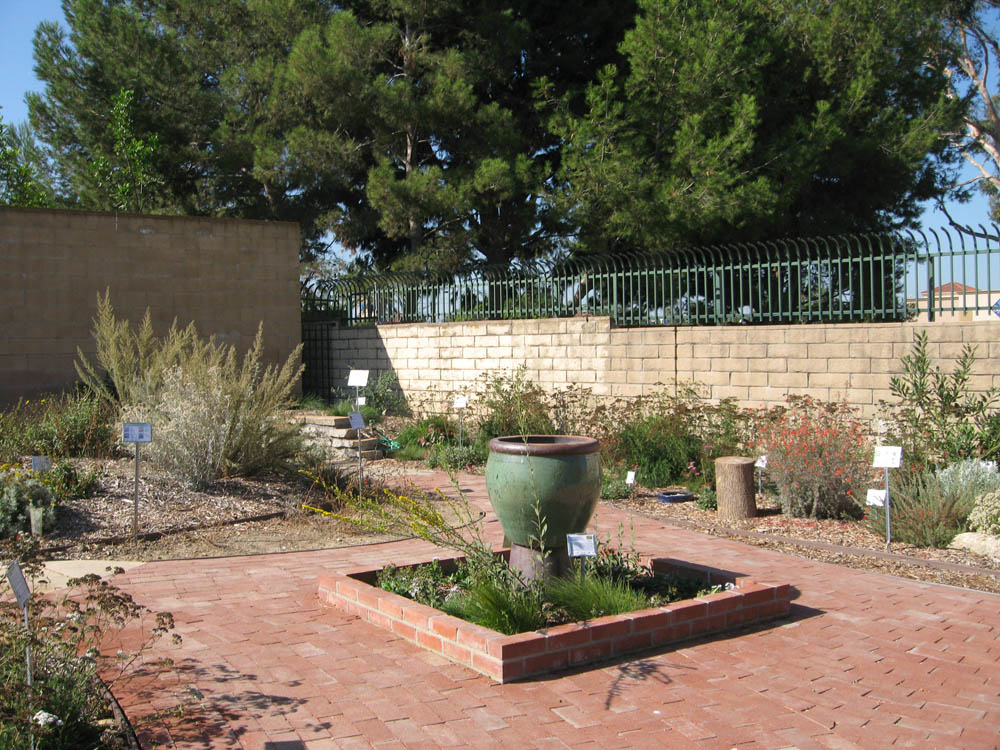 Mother Nature's Backyard - A Water-wise Garden: Current Photos of ...