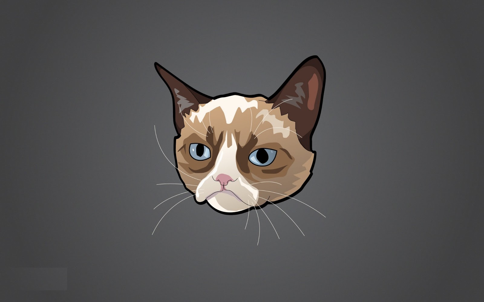 Grumpy Cat Cartoon | Funny Collection World