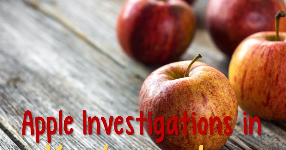 Apple Investigations | Mrs. Hoffer's Spot