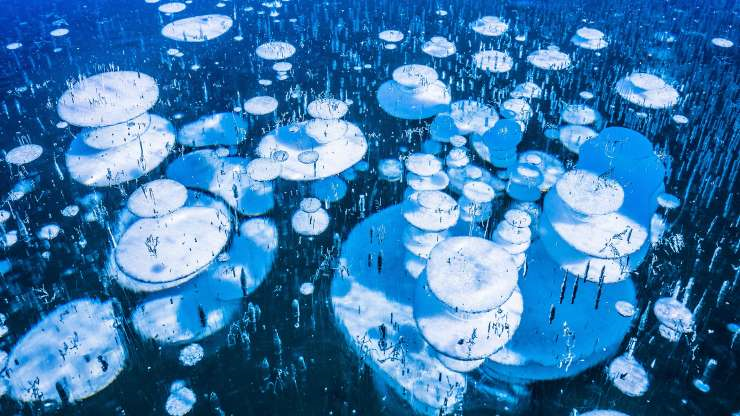 Semanario Turistamagazine On Line