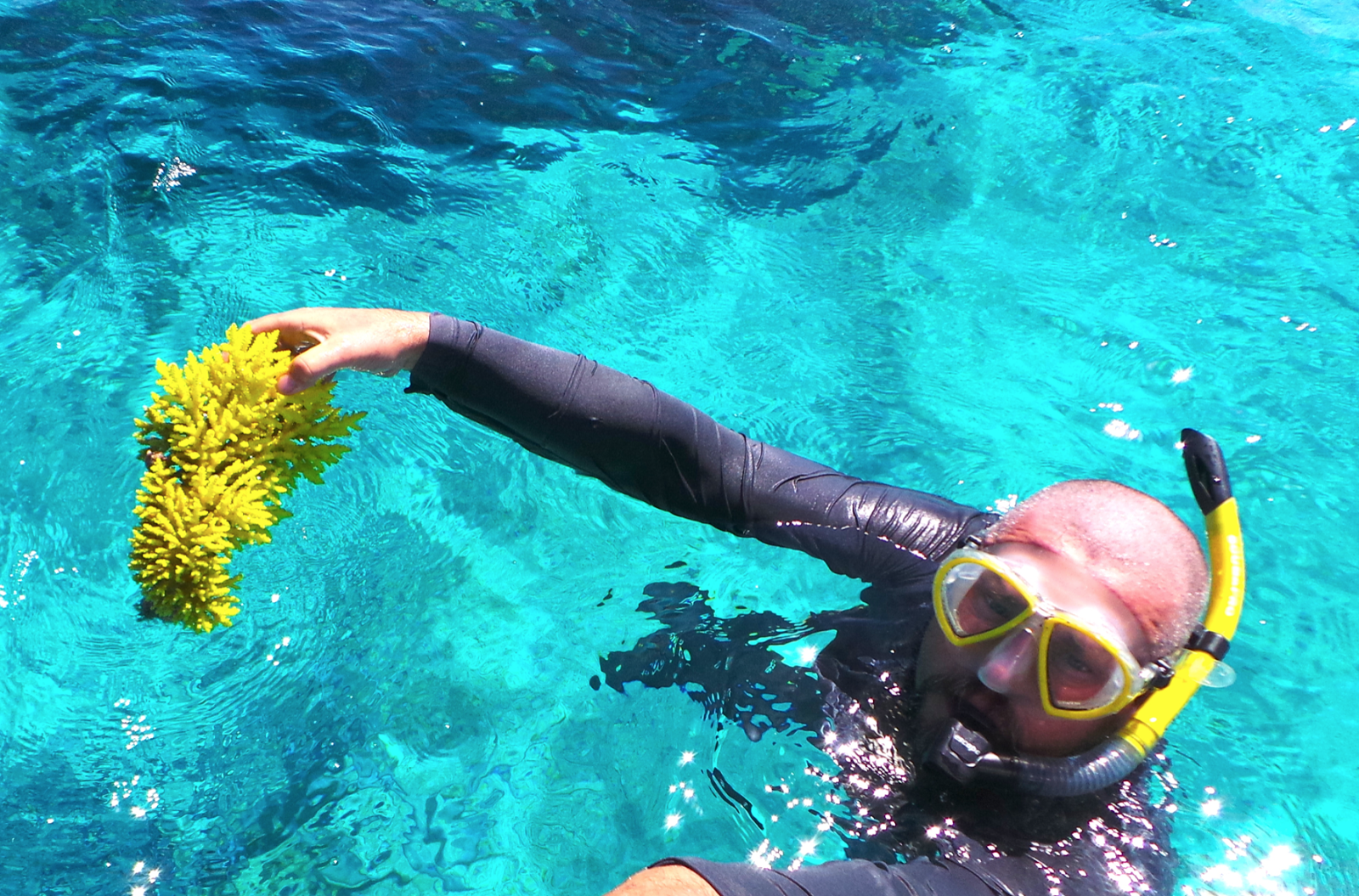 Sailing Amélie : Last stop before Australia, Chesterfield Reef