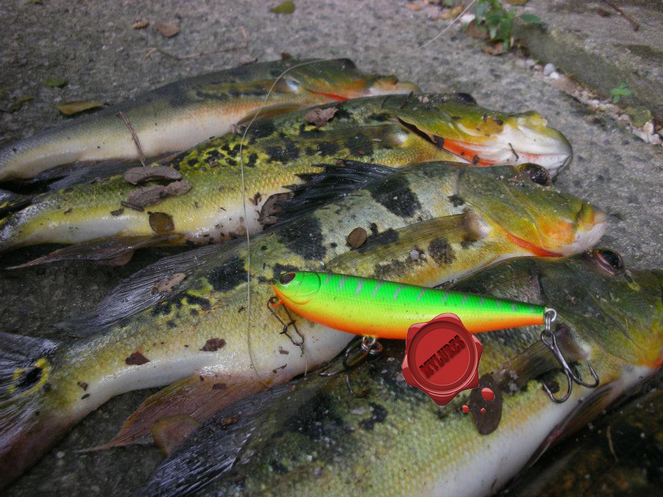 MyLures: *GALLERY*