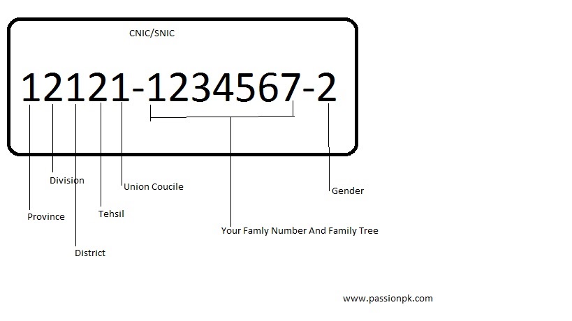 PASSIONPK: Secret Information in 13 Digit Cnic/Snic Numbers