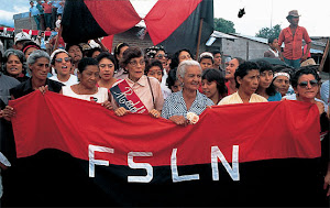 Las Guerrillas, las Luchas y los Ideales Perfectos: FARC