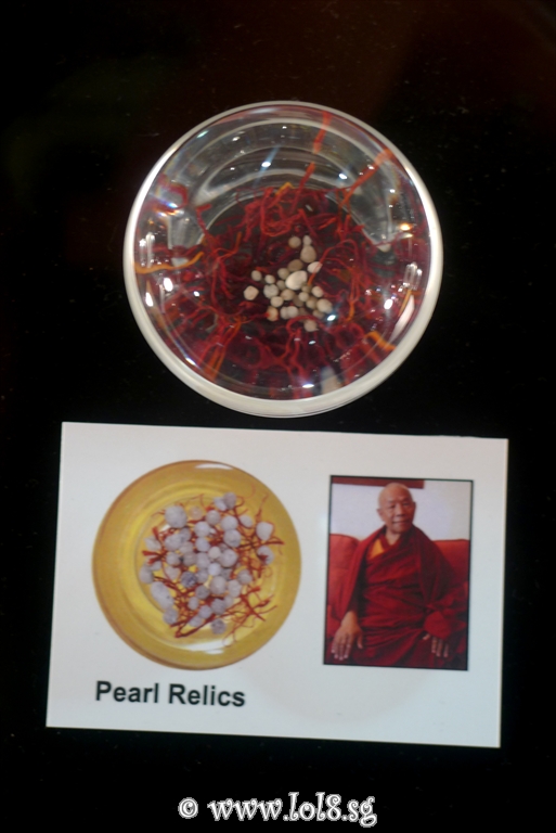 Life Of Lopsided 8: A tribute to the Hidden Yogi - Khensur Rinpoche ...