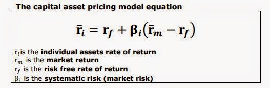 FN0363 - James Hewitson: Appendix 2 - Capital Asset pricing model (CAPM ...