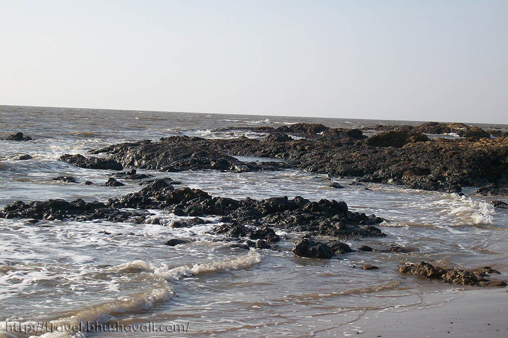 Day trip to Manori Beach & Sanjay Gandhi National Park (Mumbai ...