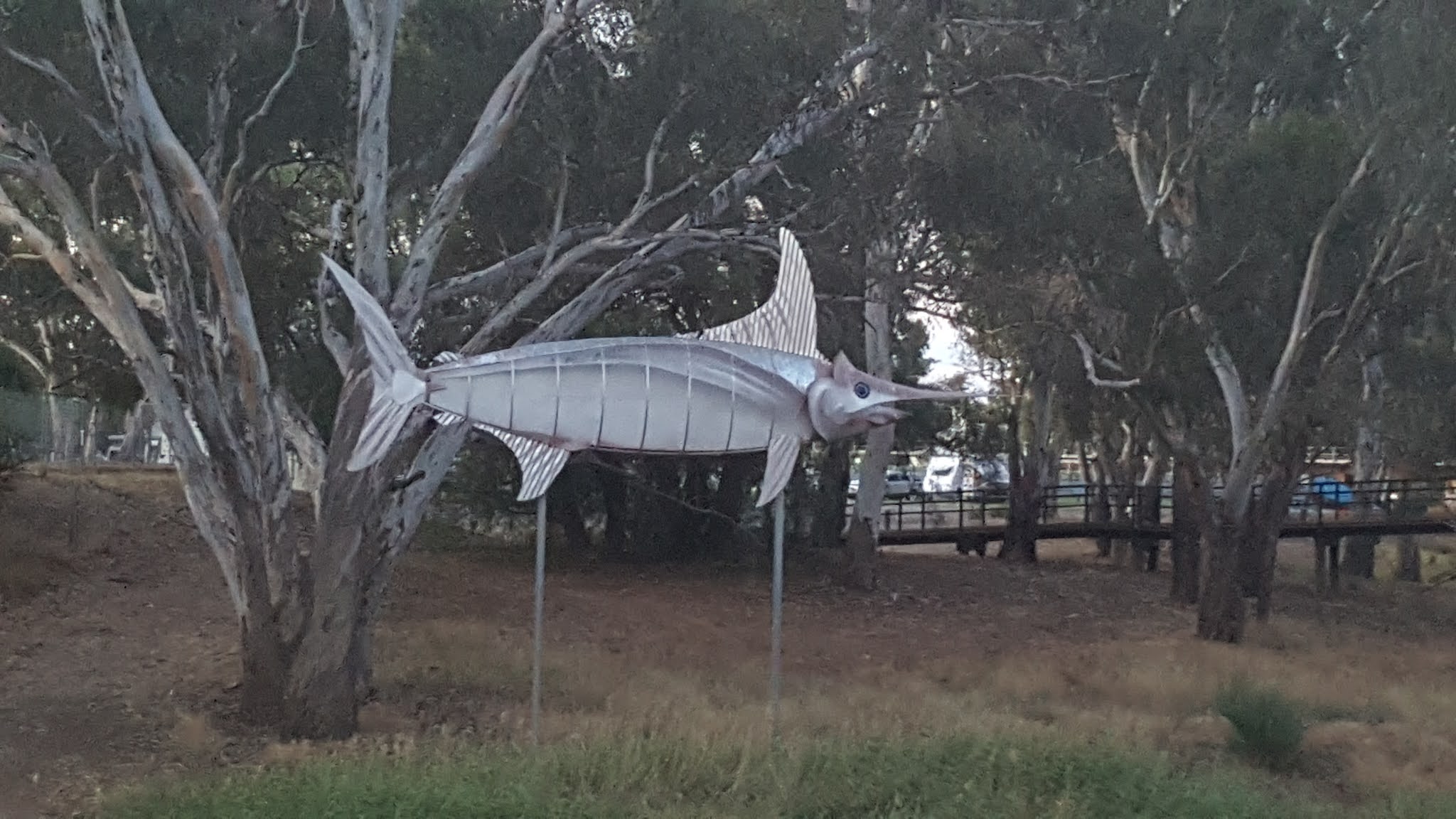 Charlton - Broadbill Sword Fish