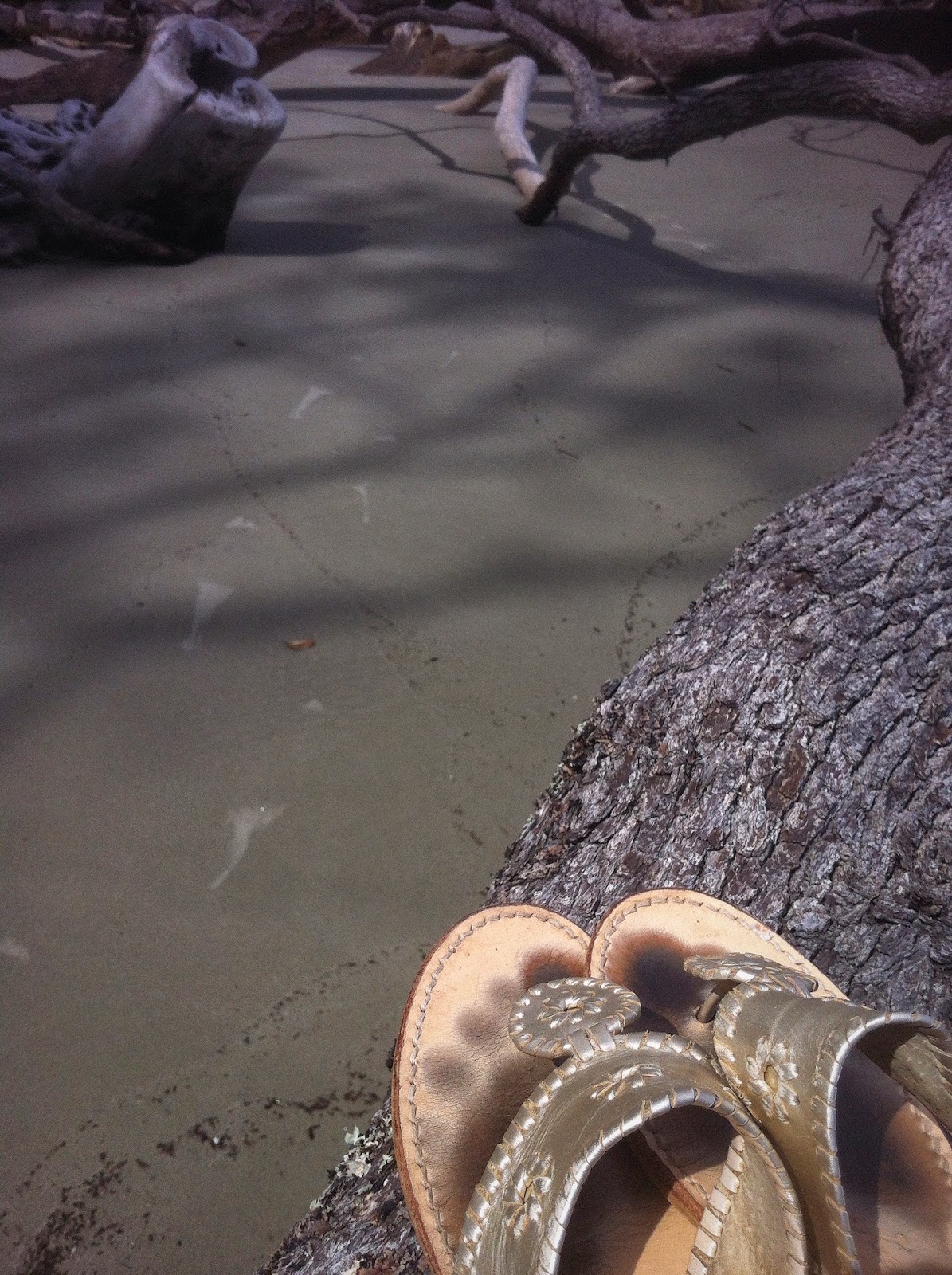 Classy Cathleen: A Look Inside My Camera Roll