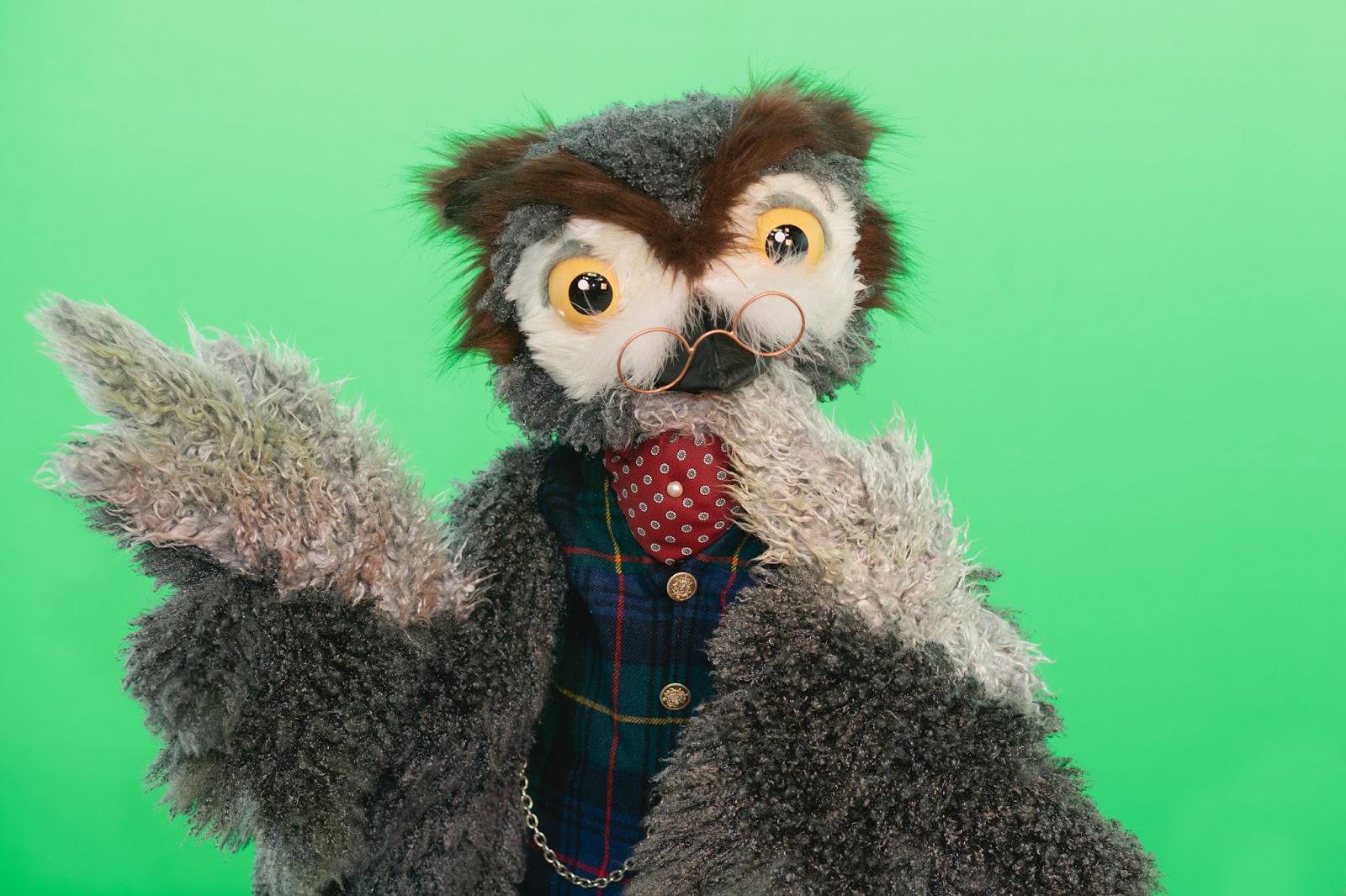 ZOOMOO, THE WORLD’S FIRST INTERACTIVE KIDS CHANNEL DEVOTED ENTIRELY TO ...