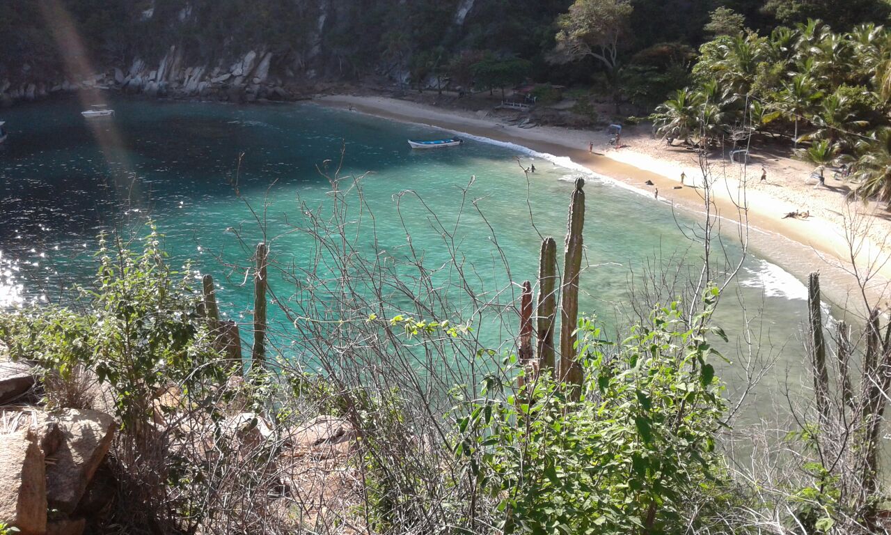Andando por Venezuela: Choroní (Playa Grande) - Tuja