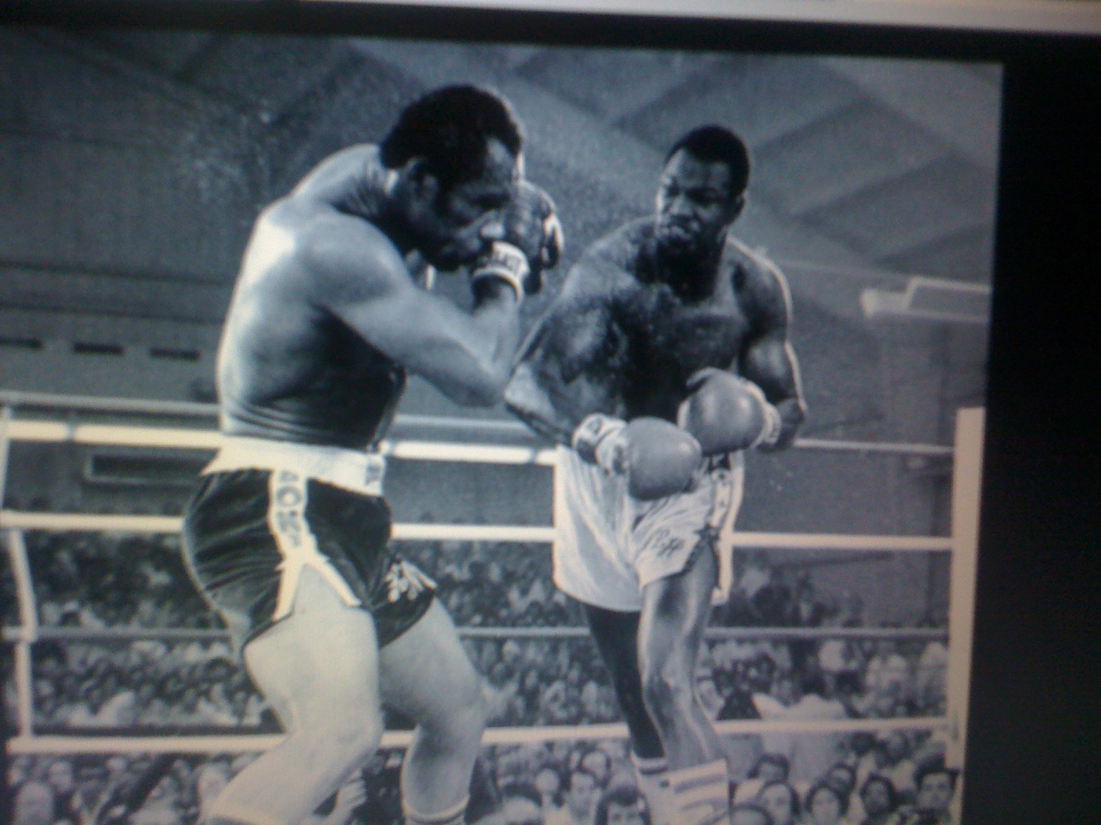 THE BLACK SOCIAL HISTORY:: BLACK SOCIAL HISTORY : AFRICAN AMERICAN ...