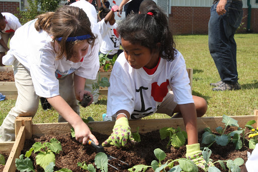 Waste management : Benefits Of Composting At School
