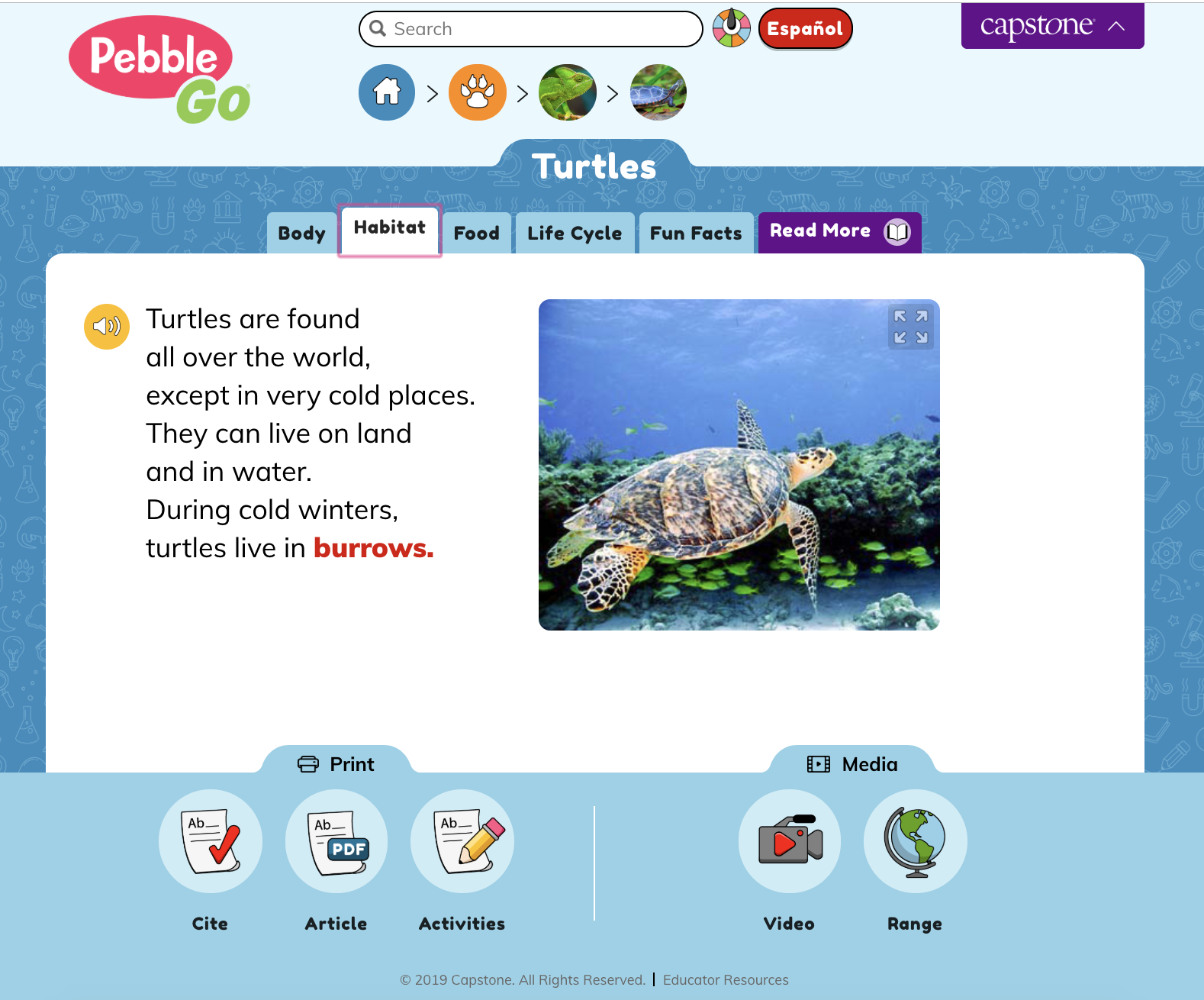 The Library Voice: A NEW Research Mashup With PebbleGo Research Buncee's!