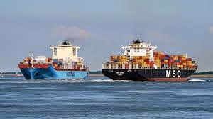 Top 20 carriers ranked by capacity in Alphaliner's annual Fleet Review