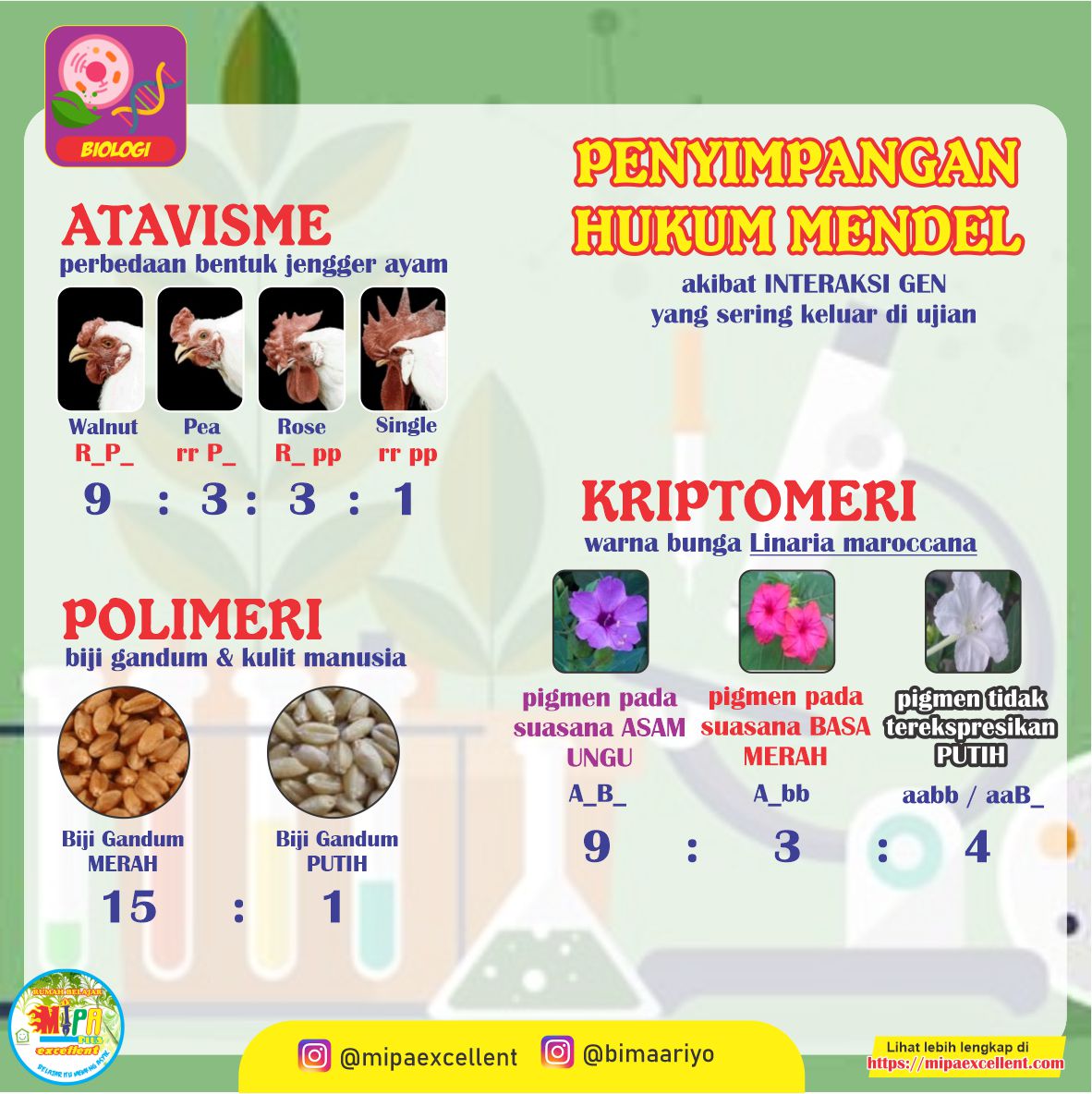 PENYIMPANGAN SEMU HUKUM MENDEL - Belajar Asyik