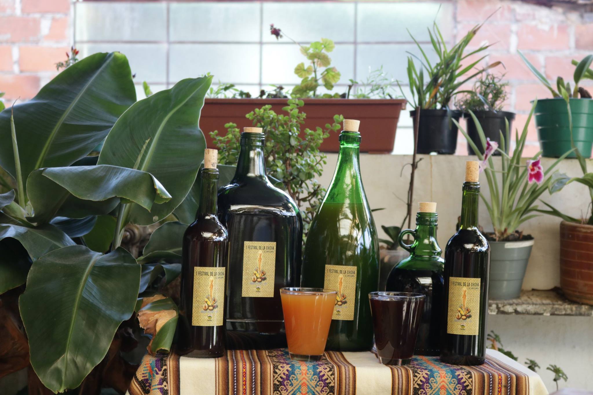 EL SANTUARIO: FESTIVAL DE LA CHICHA Y LA CULTURA