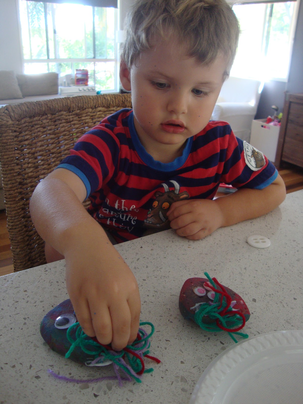 pet-rocks-a-house-full-of-sunshine