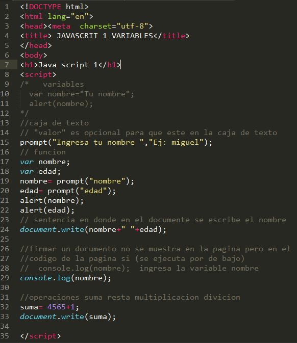Javascript (JS)