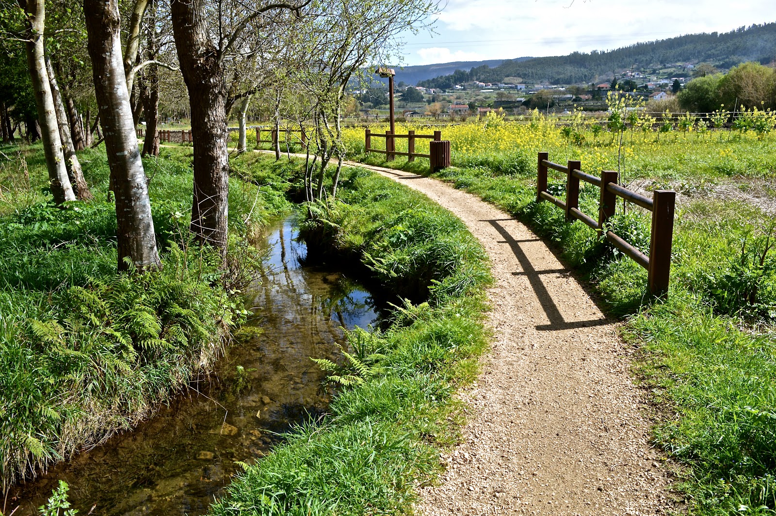 Una imagen, unas palabras, ...: Estrecha vereda
