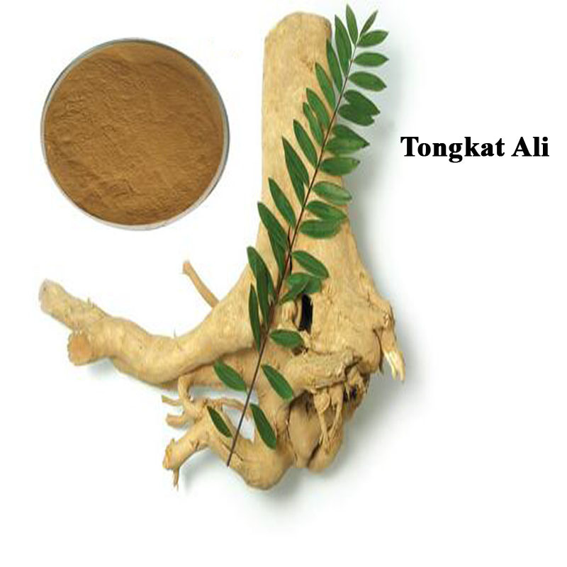 Vorteile von Tongkat Ali