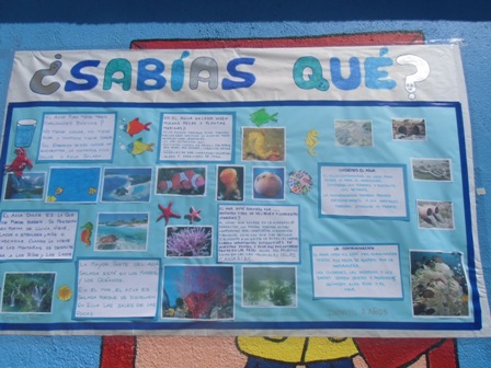 PROYECTOS CIENTÍFICOS Y ECOESCUELA: PROYECTO DE INFANTIL Y EL OCÉANO