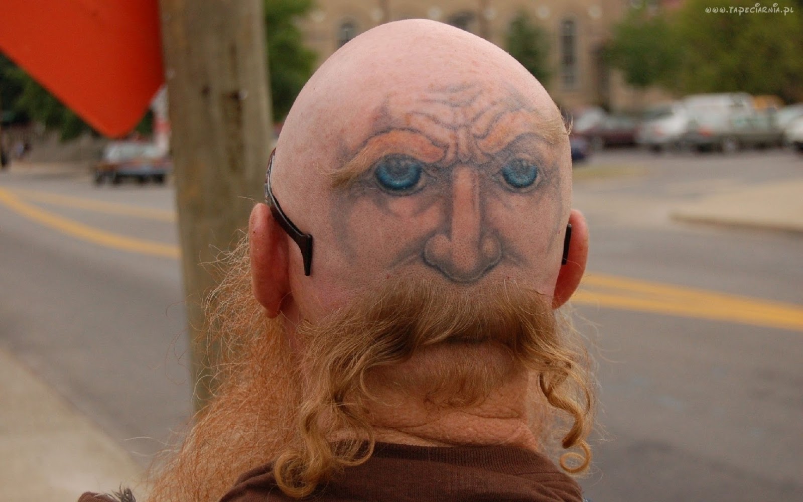 All new wallpaper : HD Nice Crazy Funny Pictures