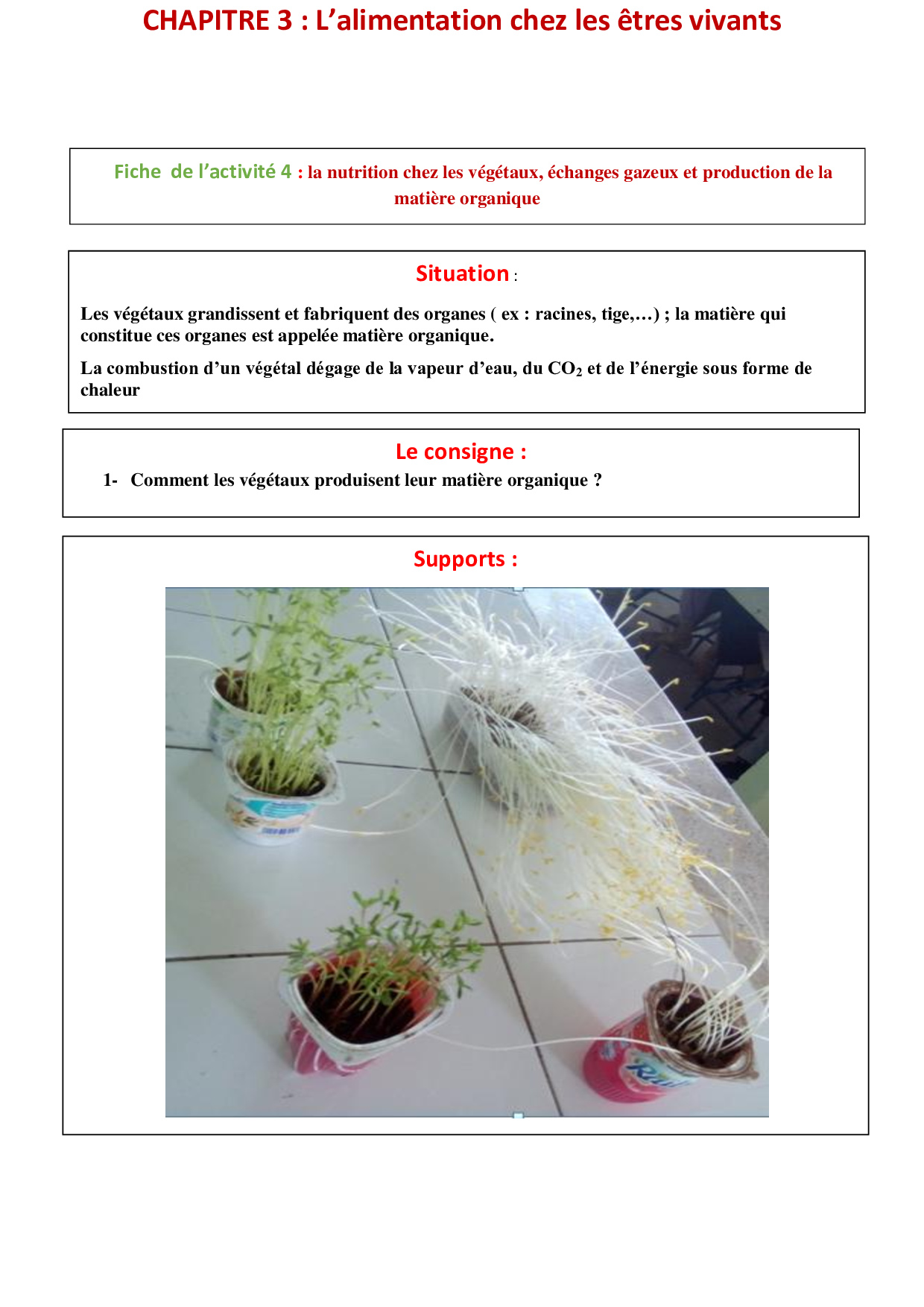 L'alimentation chez les êtres vivants - Fiche pédagogique pour 1AC
