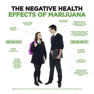 Encyclopedia of Medicine: The Health Effects of Cannabis
