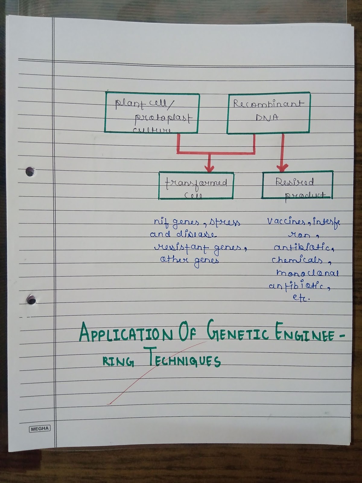 Dear Study: Recombinant DNA Technology Investigatory Project of Biology ...
