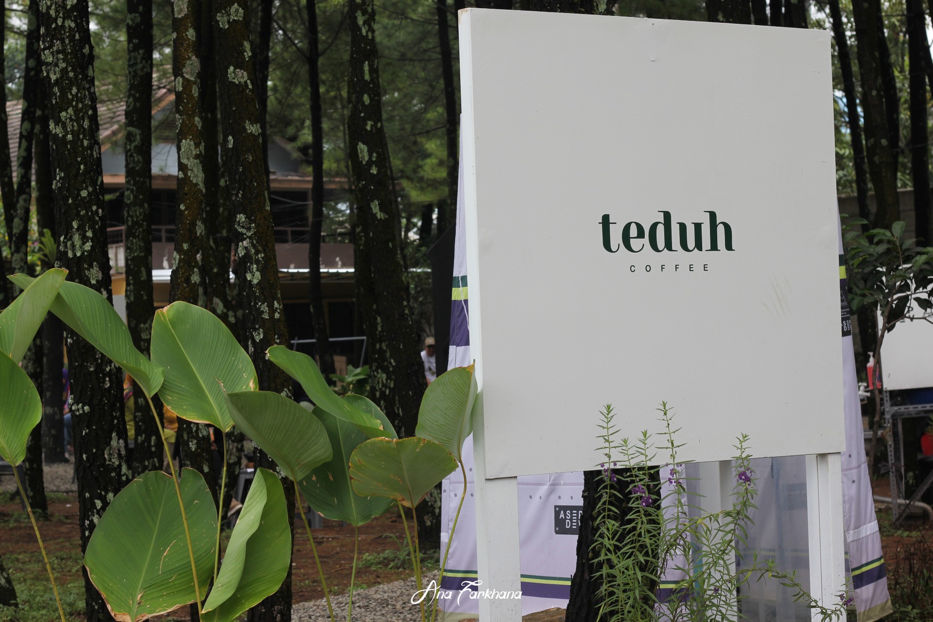Estetika Rasa: Teduh Coffee