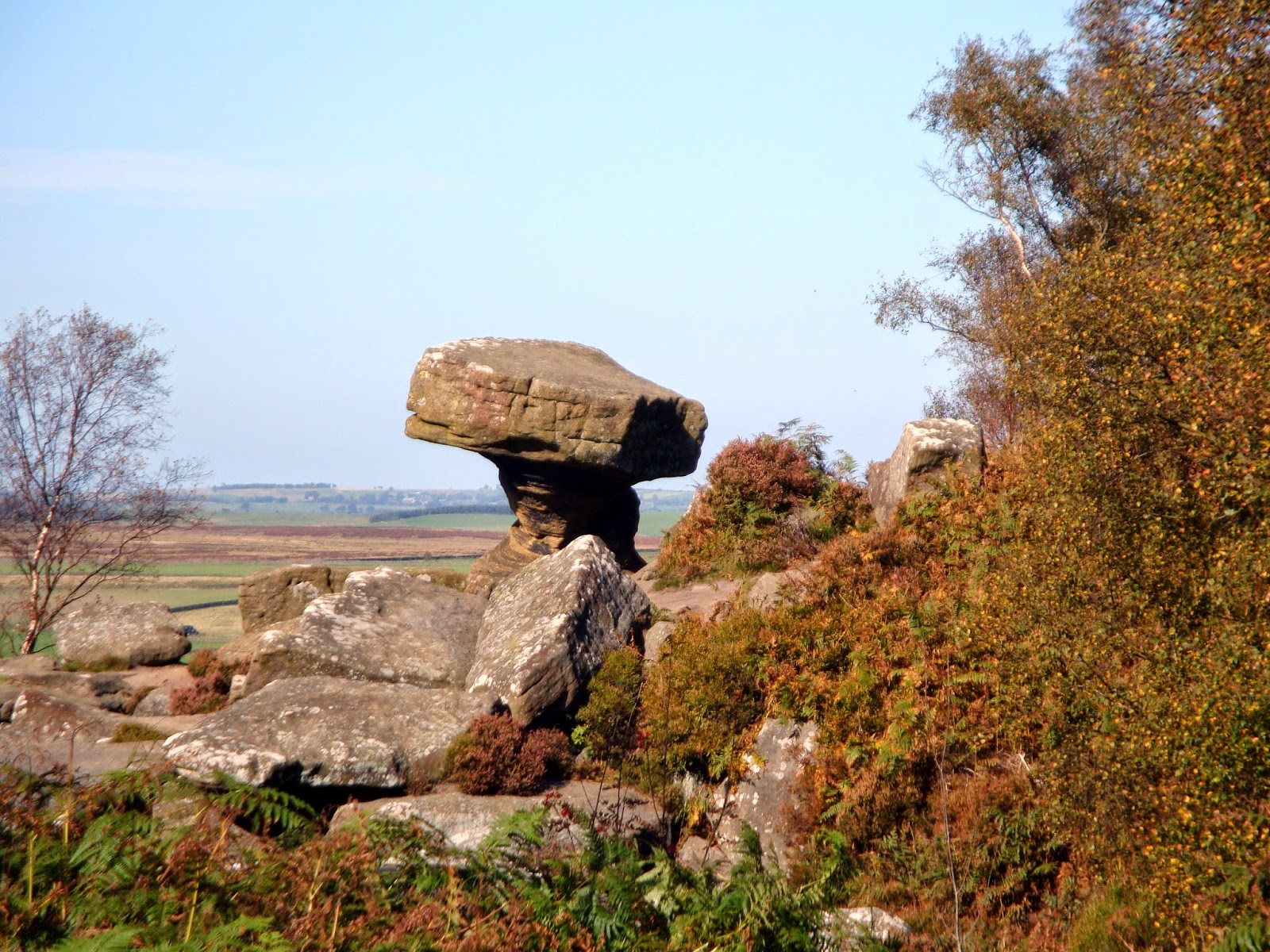Roy's blog: BRIMHAM ROCKS