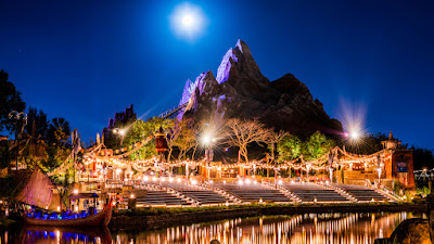 Insights and Sounds: An Evening at Disney's Animal Kingdom