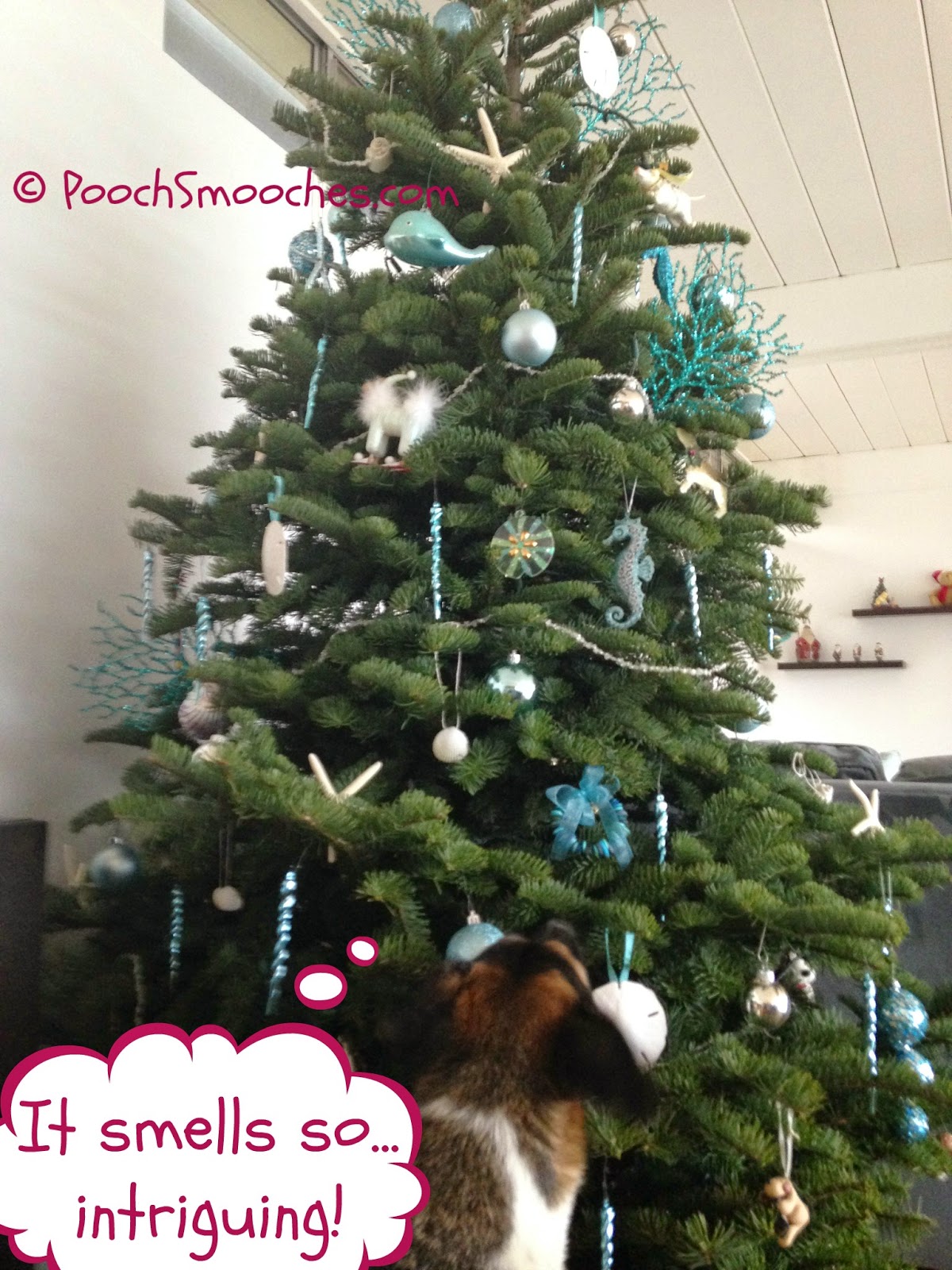 Pooch Smooches: Monday Mischief: Everything Is Irresistible