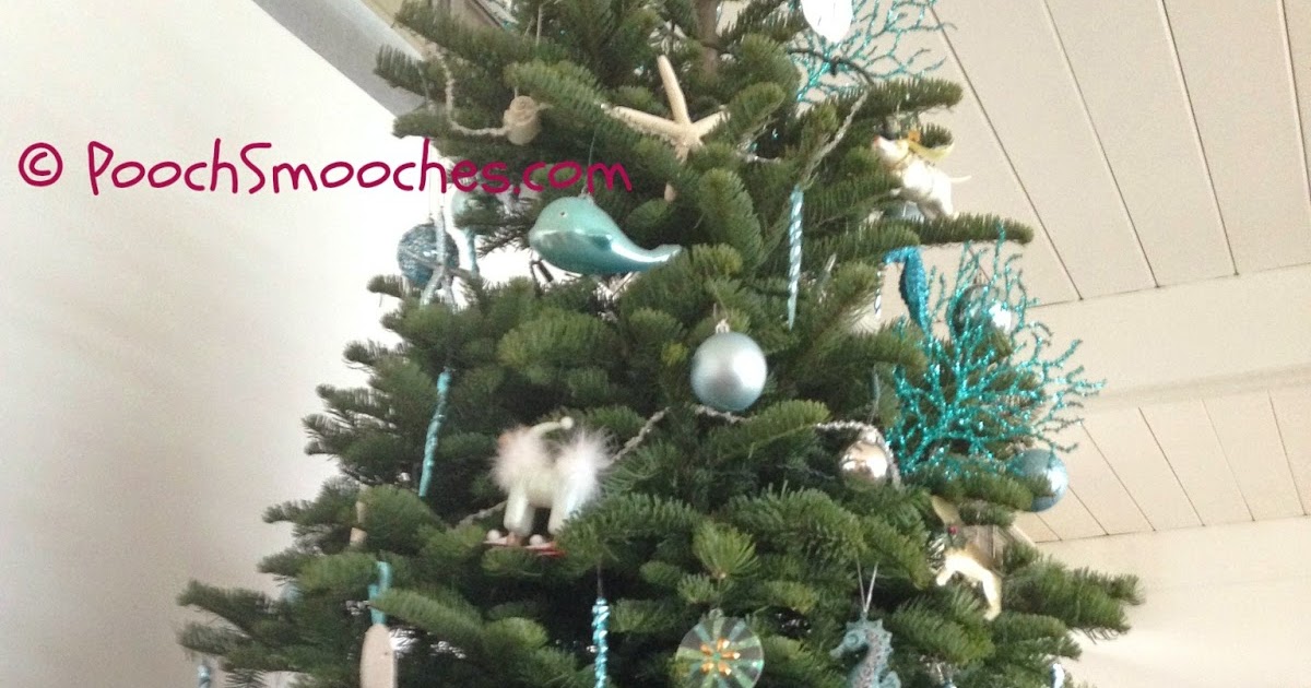 Pooch Smooches: Monday Mischief: Everything Is Irresistible