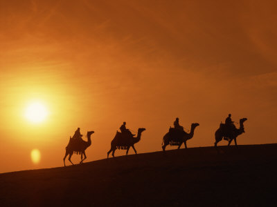 A Story In A Nutshell: Sunjata Epic: The Long Journey