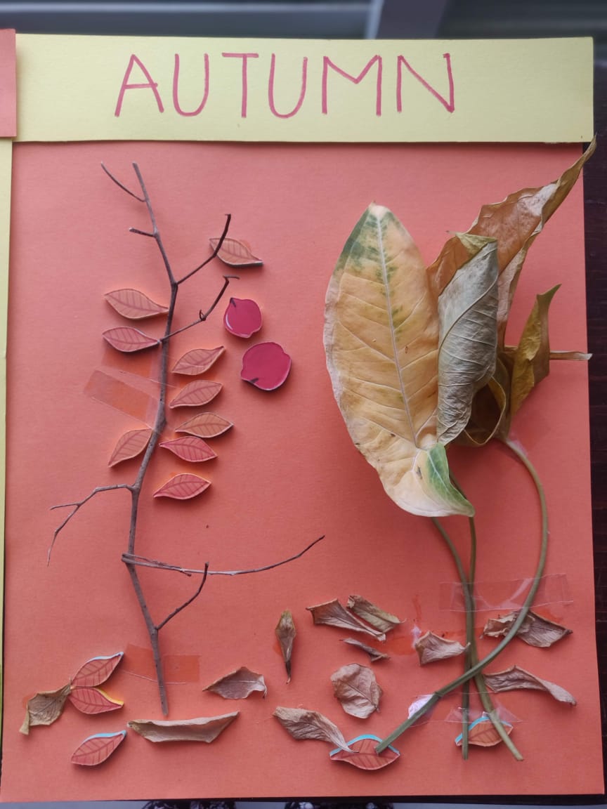 DIY Seasons Project for Kids - Summer, Winter, Autumn, Spring