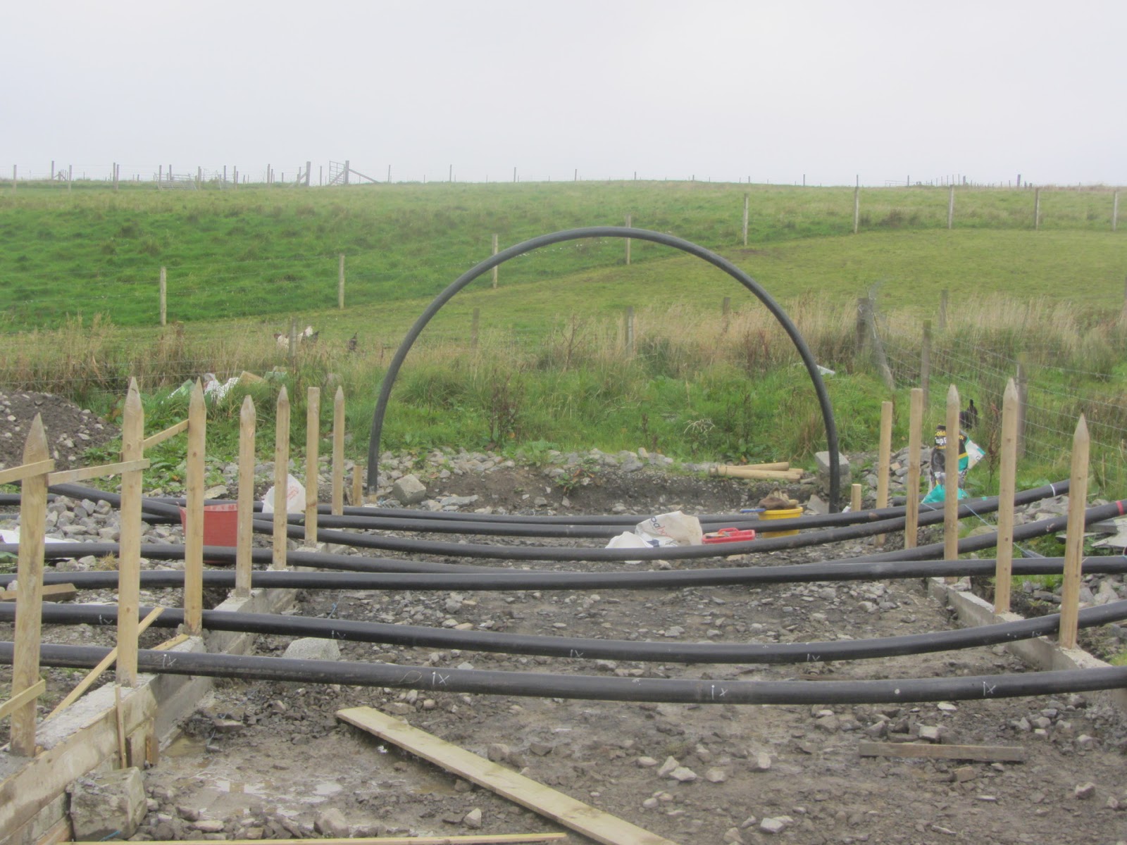 Us in Orkney: Polycrub part 2 : Mmmmm