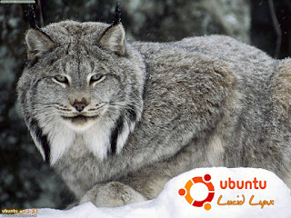 Pengalaman Migrasi ke GNU /Linux - 1 | E-Learning