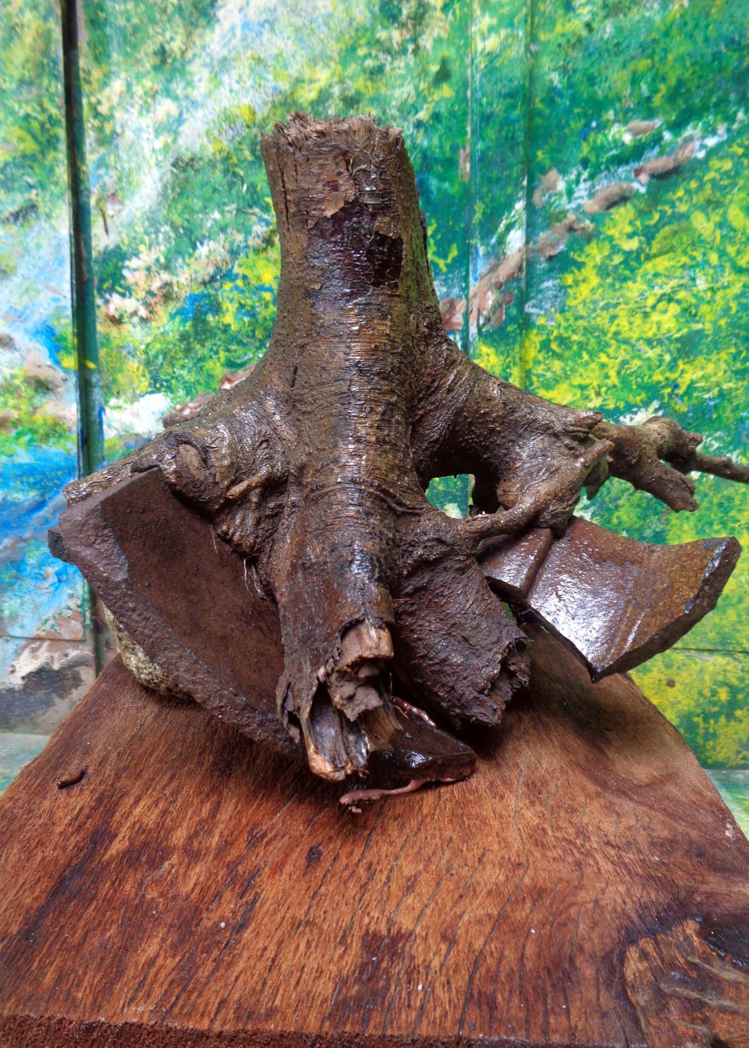 Naturalism - the Eighth Sense: Cryptobotany* - The tree that rose from ...