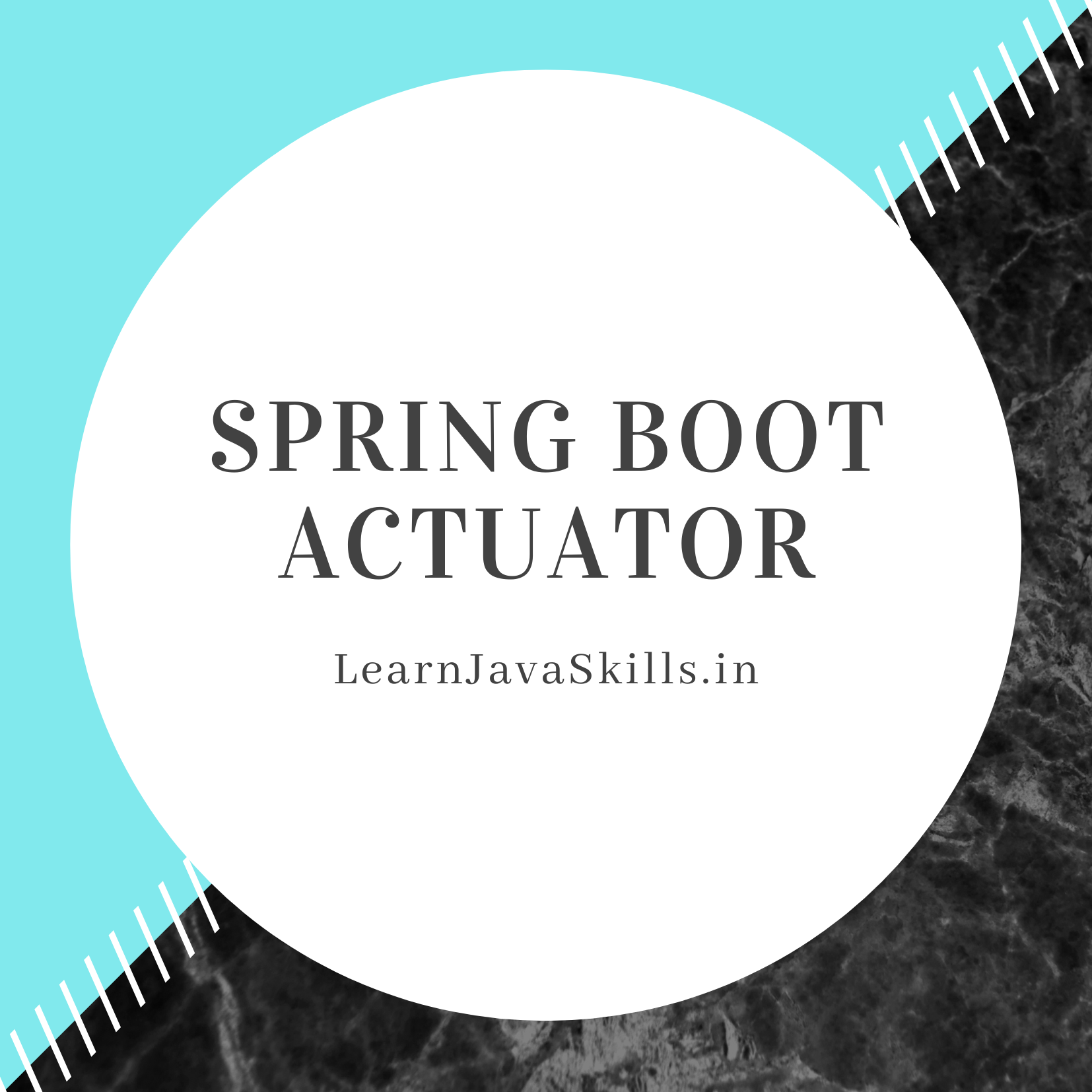 Spring Boot Actuator Monitor Rest Api Using Spring Boot Actuator Learn Java Skills