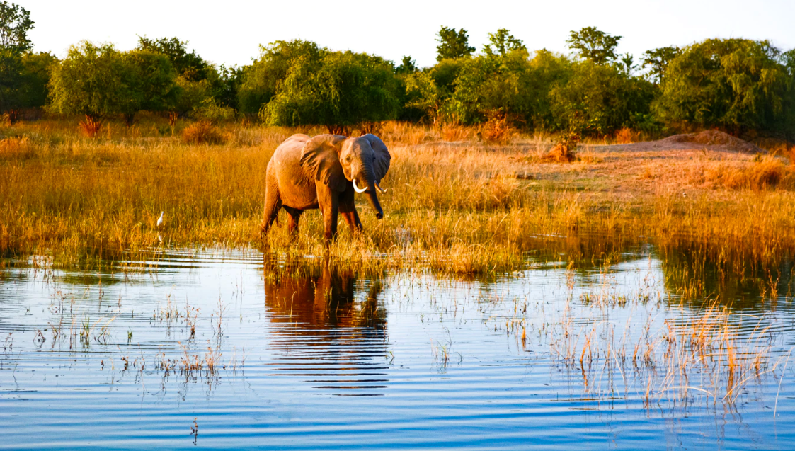 isiNdebele for beginners. Northern Ndebele language in Africa ...